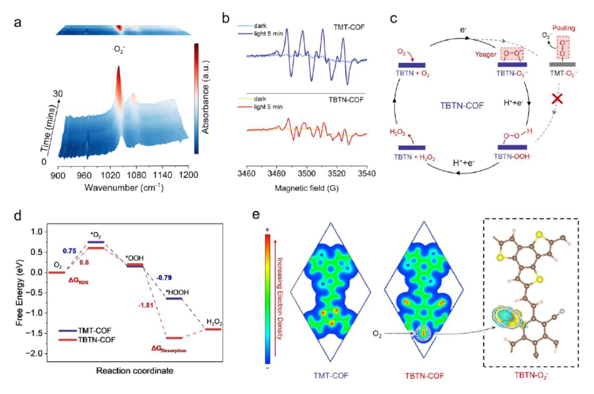 【COF光催化合成H2O2】：基于氰基的共价有机框架用于增强总体光催化制备过氧化氢产物 | 上海楷树化学科技有限公司